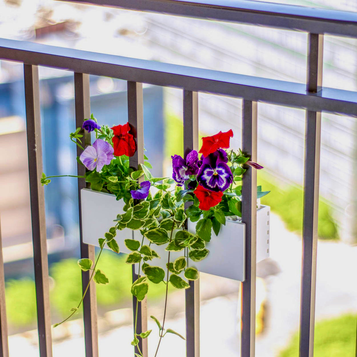 Balcony Herb Garden Starter – 3 Railing Planters | Sprout – Sprout Planter