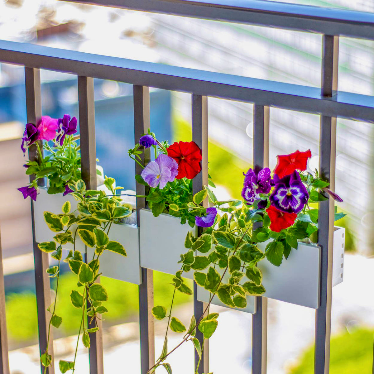 Sprout Railing Planter 5 Pack – Sprout Planter